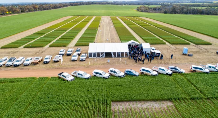 Tasmania Hyper Yielding Crops Field Day - Delmade